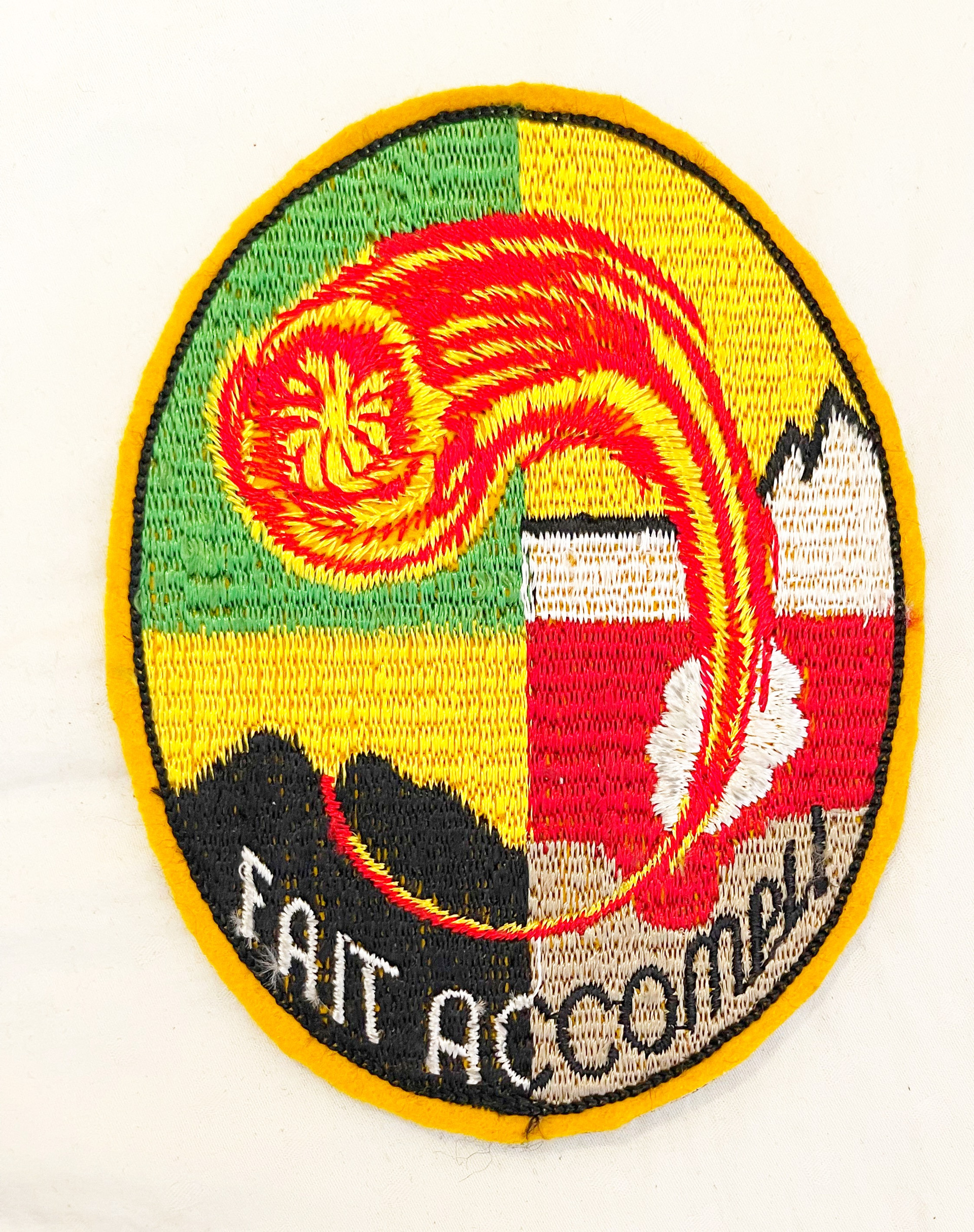 Ww2 us 457th bomb group patch