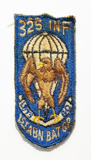 Cold War us 1st airborne battle group 325th infantry patch