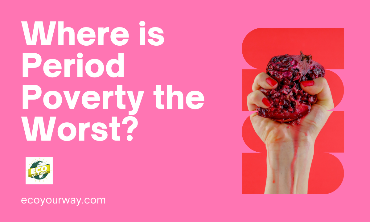 Where is Period Poverty the Worst? - Eco Your Way