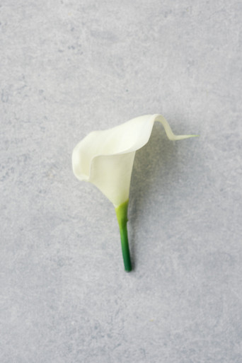 Zayah Boutonniere | Something Borrowed Blooms