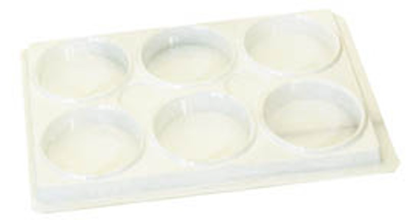 PAINT PALETTES - RECTANGULAR