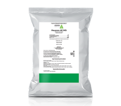 Hexaron 60 WG