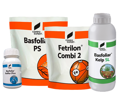 Pack Foliar Desarollo