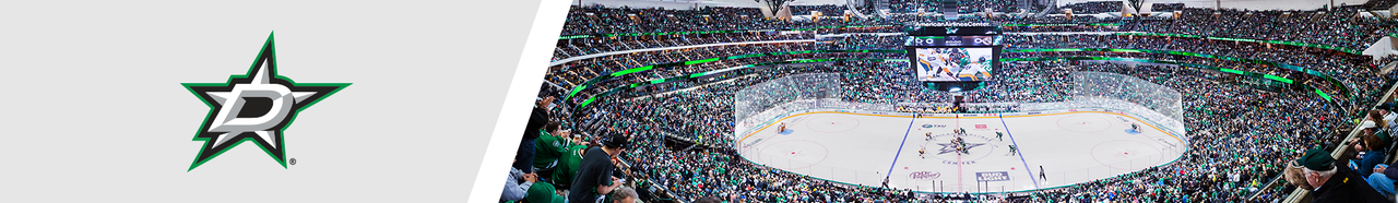 Dallas Stars NHL Posters - Panoramic Fan Cave Decor