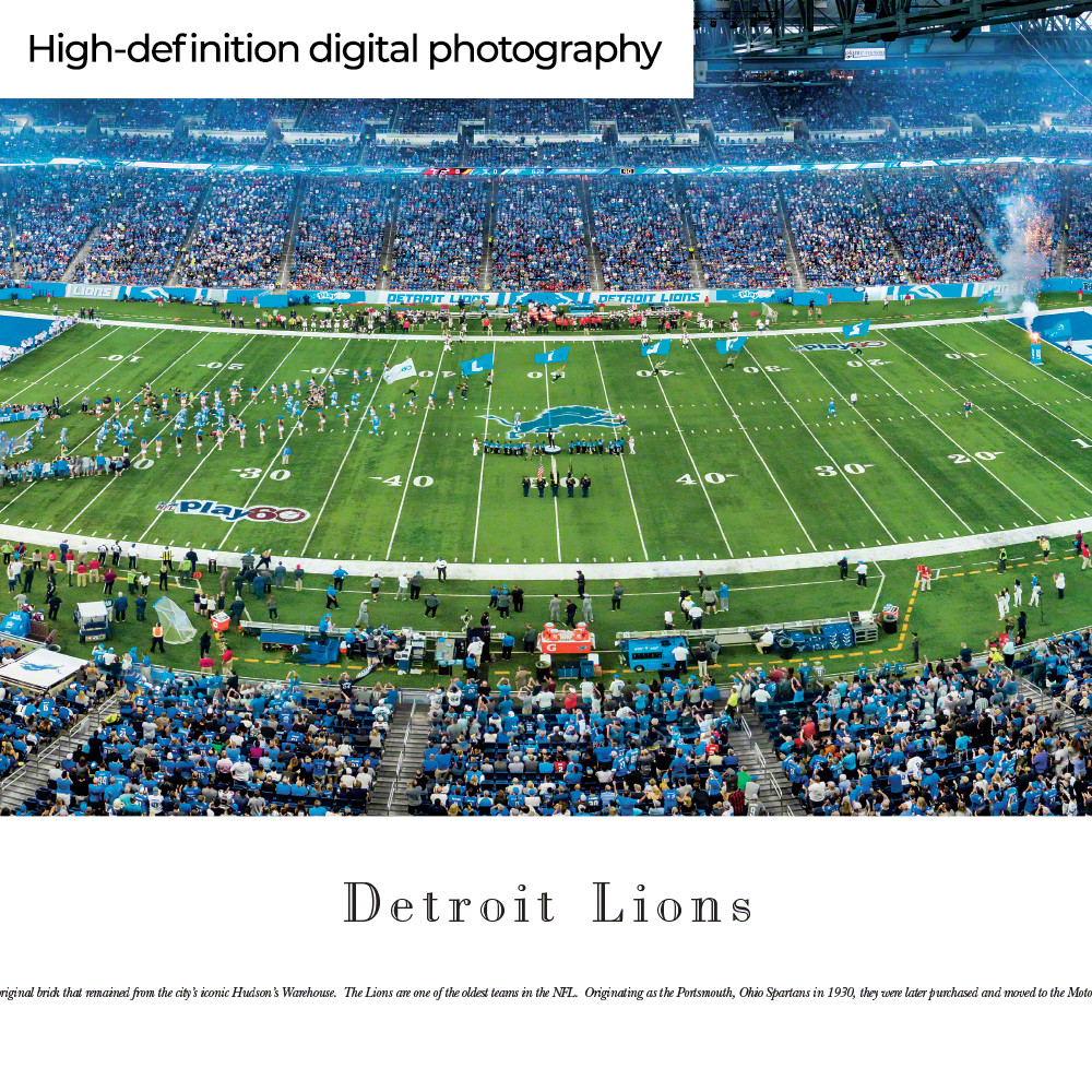 Detroit Lions Panoramic Poster - Ford Field