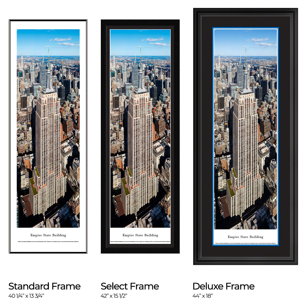 Empire State Building Panoramic Wall Decor
