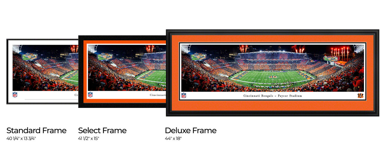 Cincinnati Bengals Stripe the Jungle Panoramic Picture - Paycor Stadium ...