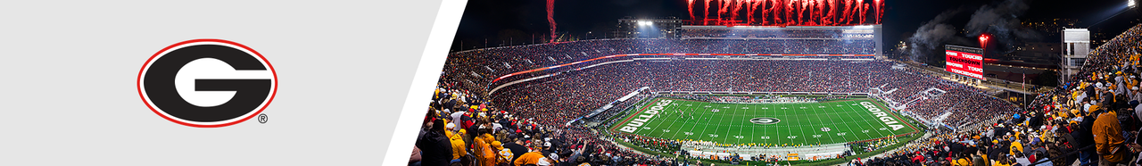 Georgia Bulldogs College Sports Panoramic Posters - Fan Cave Decor