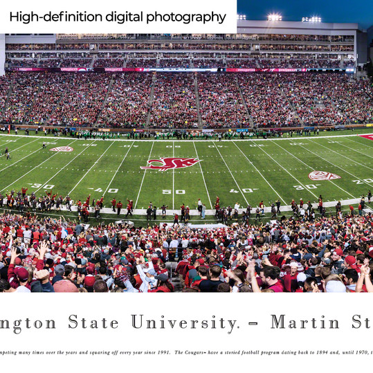 Washington State Cougars Football Panoramic Poster