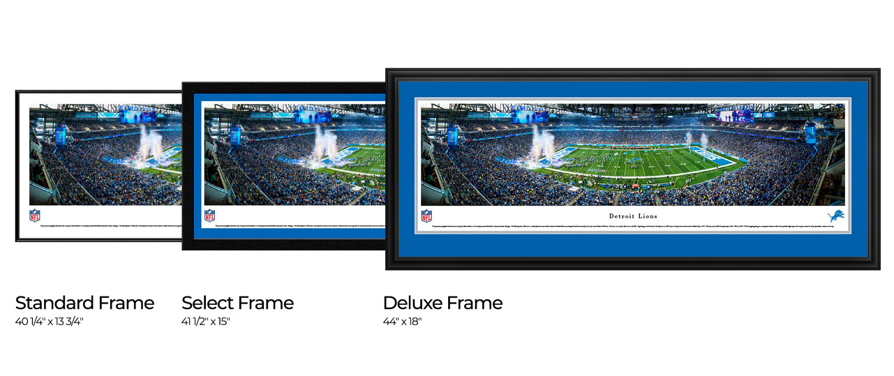 Detroit Lions Panoramic Poster - Ford Field