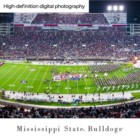 Mississippi State Bulldogs Football Panoramic Picture - Davis Wade ...