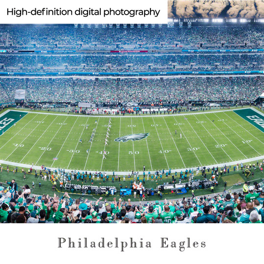Philadelphia Eagles Panoramic Picture - Lincoln Financial Field NFL Fan ...