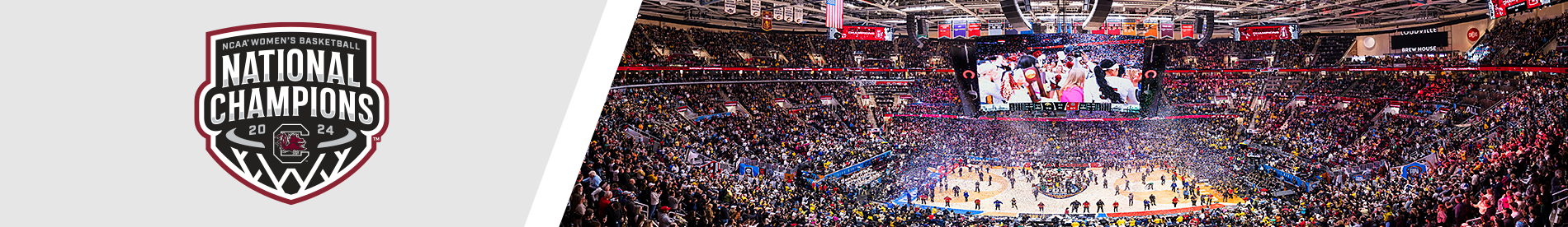 South Carolina Gamecocks College Sports Panoramic Posters - Fan Cave Decor