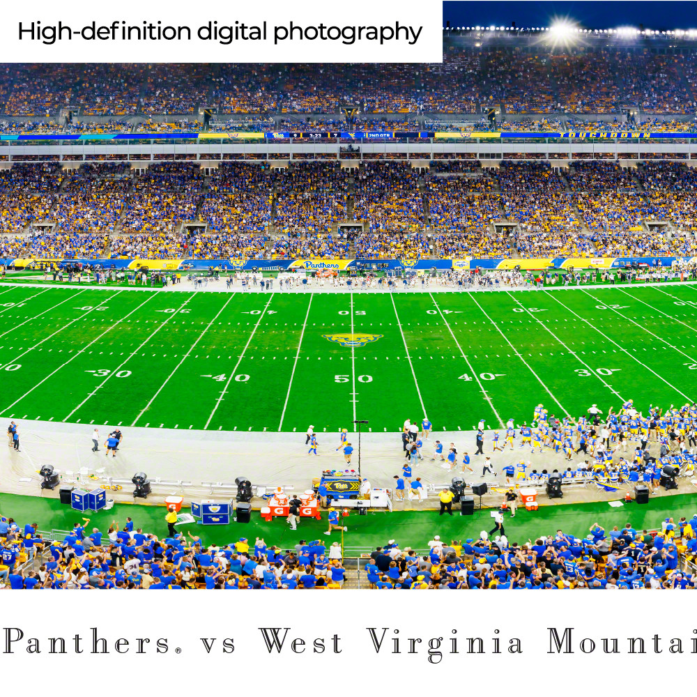 Pittsburgh Panthers Football Panoramic Picture - Acrisure Stadium Fan ...