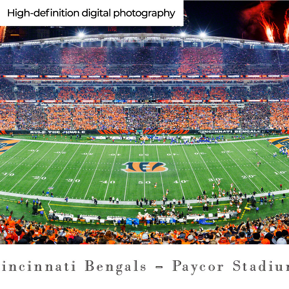 Cincinnati Bengals Stripe the Jungle Panoramic Picture - Paycor Stadium ...