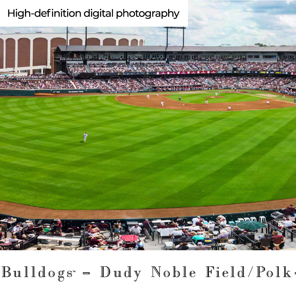 Mississippi State Bulldogs Baseball Panoramic Picture - Dudy Noble ...