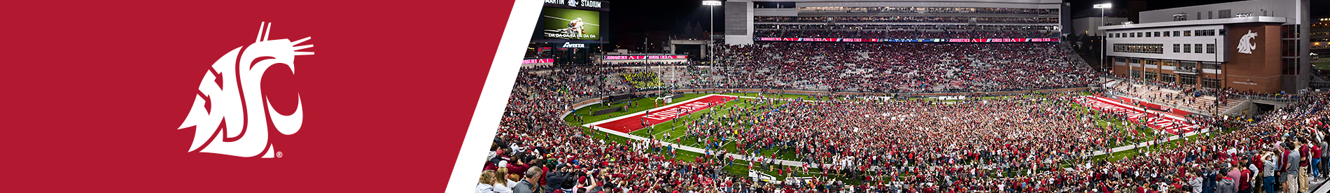 Washington State Cougars College Sports Panoramic Posters - Fan Cave Decor