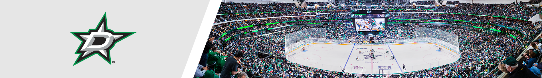 Dallas Stars NHL Posters - Panoramic Fan Cave Decor