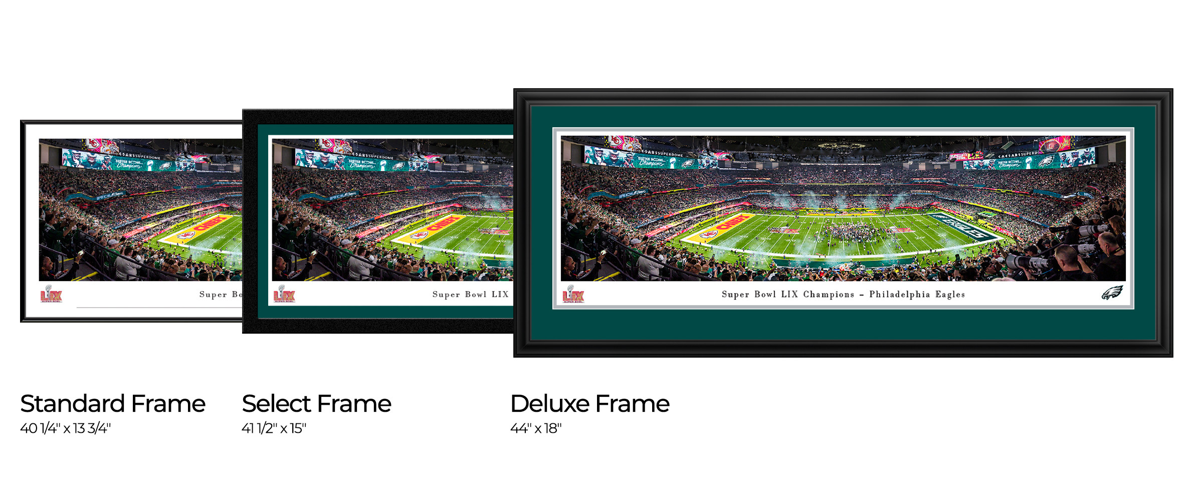 2025 Super Bowl LIX Champions Panoramic Picture - Philadelphia Eagles