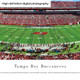 Tampa Bay Buccaneers Panoramic Poster