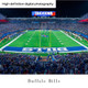Buffalo Bills NFL Fan Cave Decor - Highmark Stadium Panoramic Picture