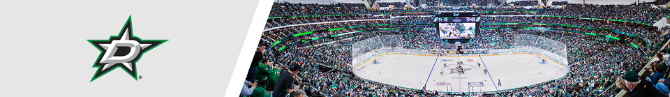 Dallas Stars NHL Posters - Panoramic Fan Cave Decor
