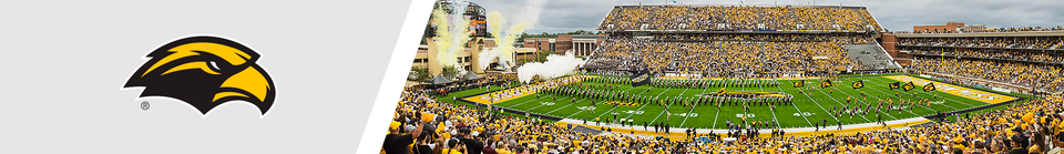 Southern Miss Golden Eagles College Sports Panoramic Posters - Fan Cave ...