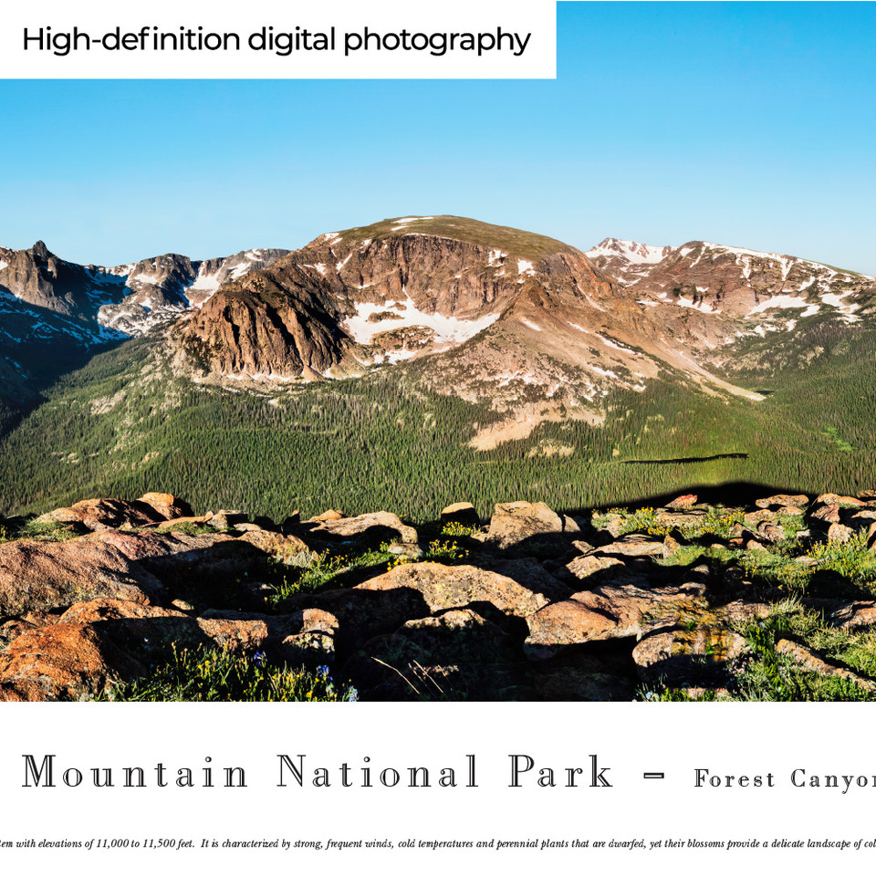 Rocky Mountain National Park Forest Canyon Overlook Scenic Landscape ...