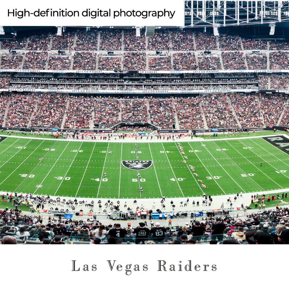Las Vegas Raiders Panoramic Fan Cave Decor - Allegiant Stadium Picture