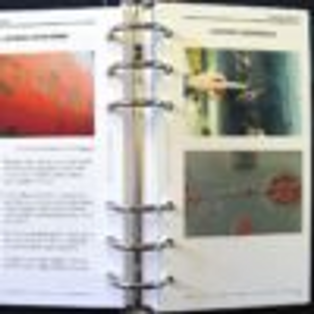 Fitz Atlas Of Coating Defects | MTest Fitz Atlas Of Coating Defects | MTest