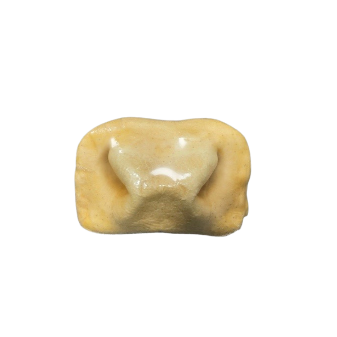 Incredipet Beef Snout Dog Chew - Feeders Pet Supply