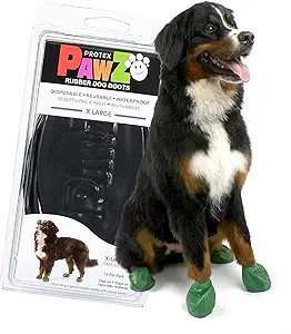 Pawz Waterproof Black Rubber Dog Boots 12 pack - Feeders Pet Supply