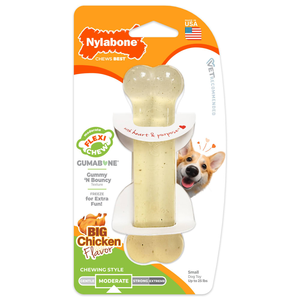 Nylabone Flexi Chew Gumabone Original Bone Chew Toy up to 25 lbs ...