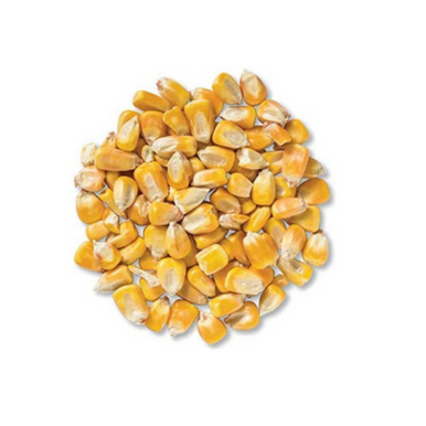 Whole Shelled Corn 50 lb - Feeders Pet Supply