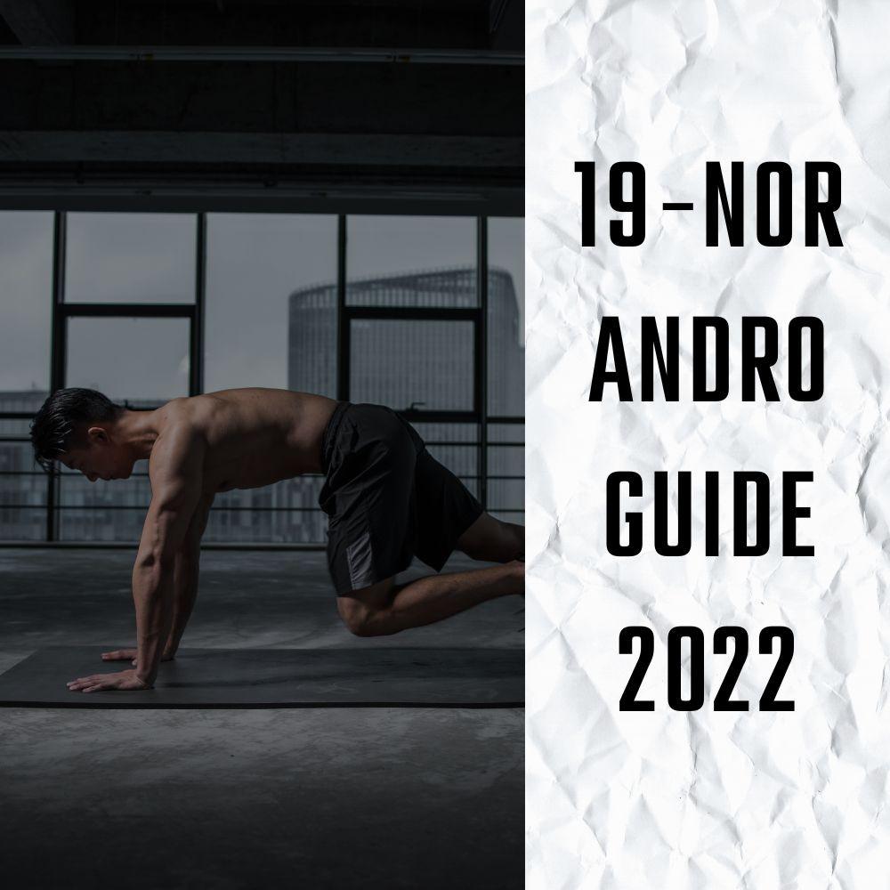 19-Nor Andro Guide | The Benefits & Side Effects - Supplement Warehouse