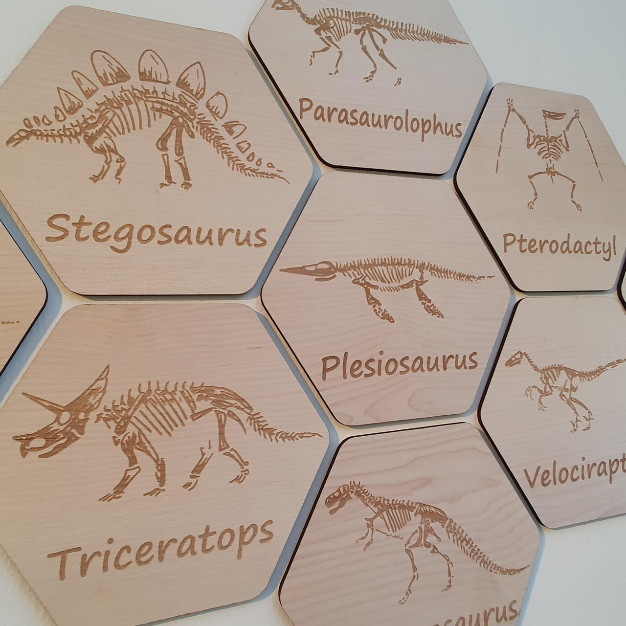 Dinosaur Skeleton Wall Plaques