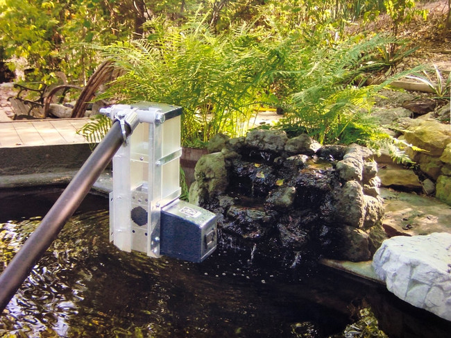 Automatic Koi Pond Fish Feeder Combo Deals