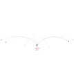 Bird Spider 360 | Scare Birds Away | Keep Birds Away