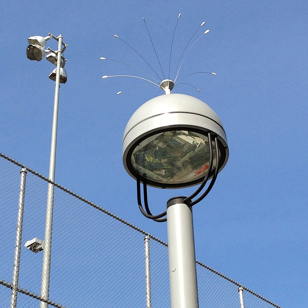 Bird Spider 360 | Scare Birds Away | Keep Birds Away