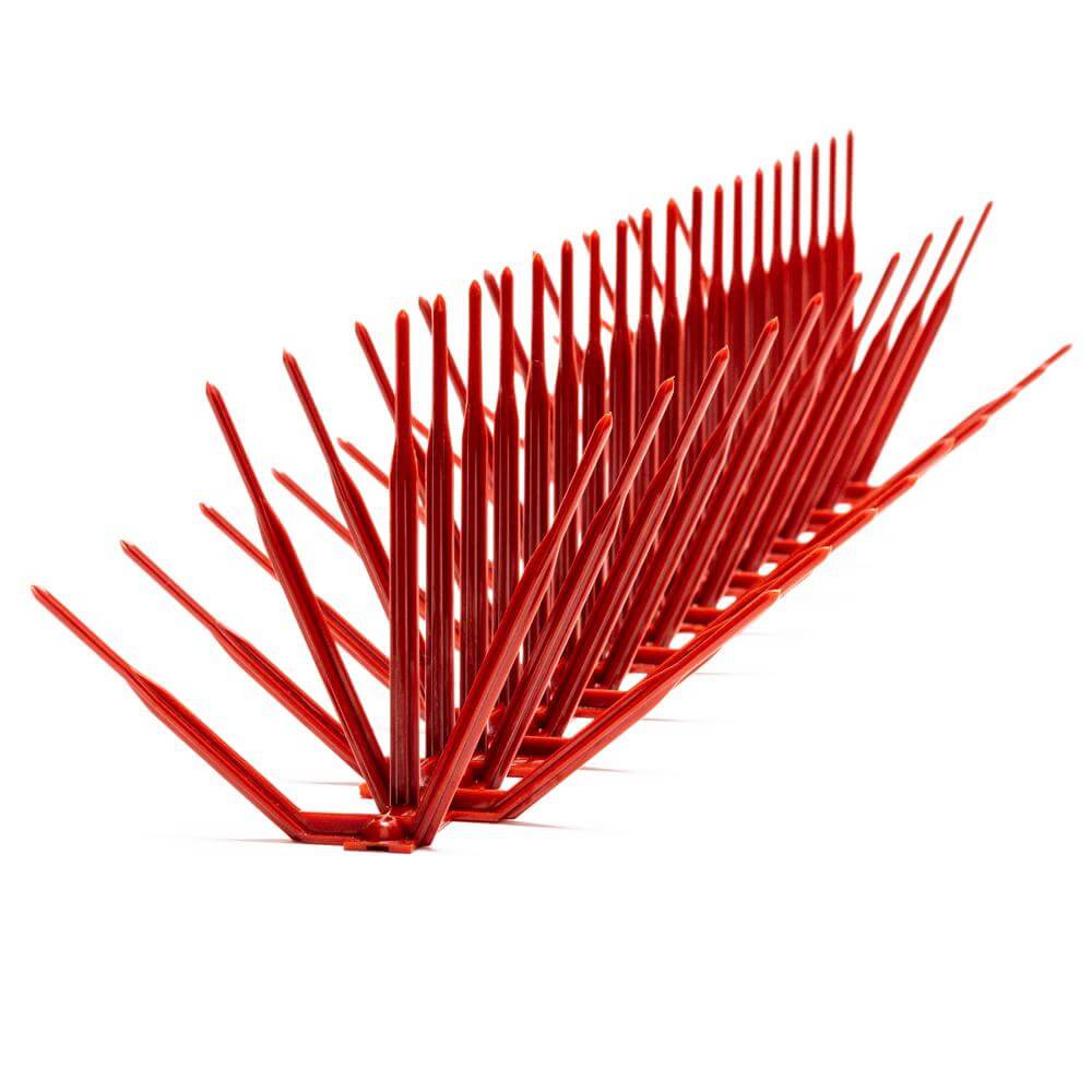 Plastic Bird Spikes | Bird Spike Strips | Made In USA