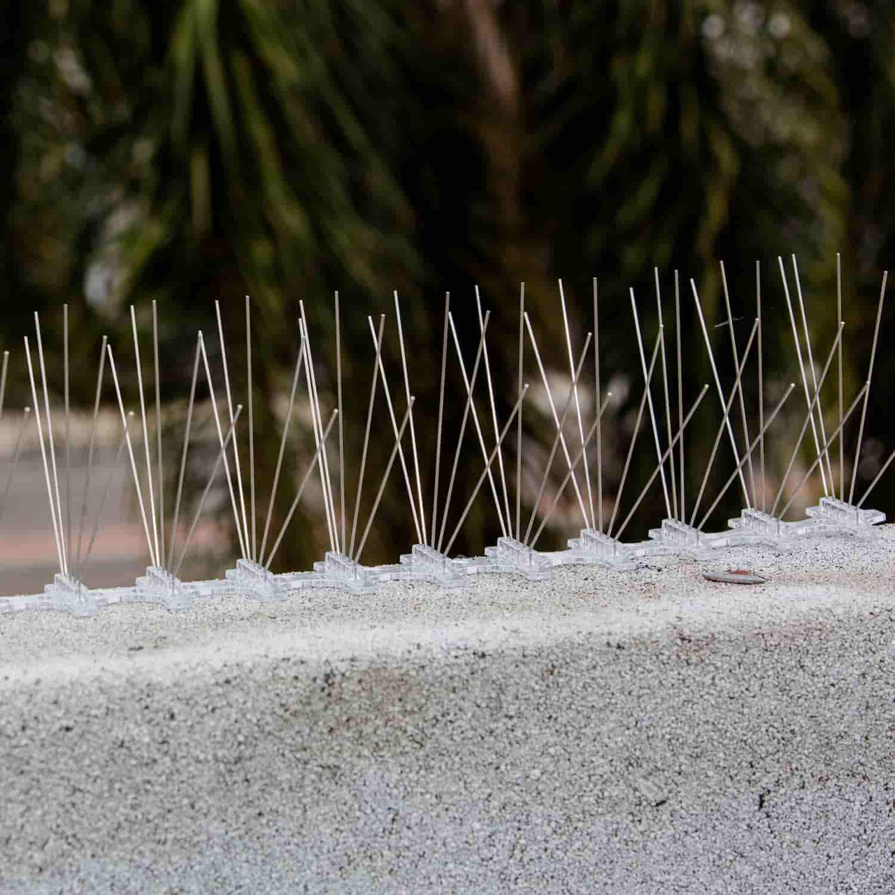 Stainless Steel Bird Spikes | 10-Year Warranty | Bird B Gone