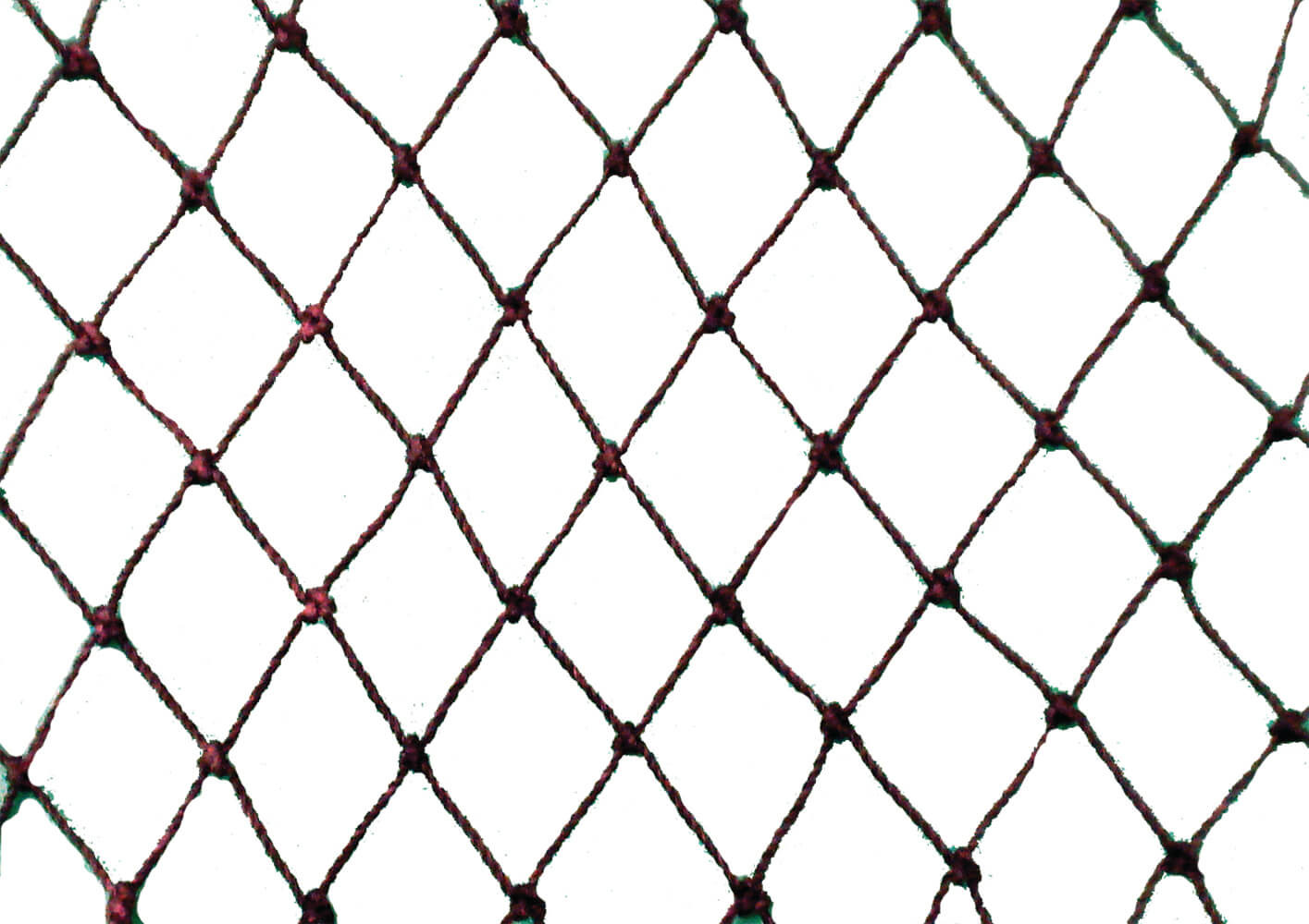 Bat Netting | Bat Nets | Bird Nets | Bird B Gone