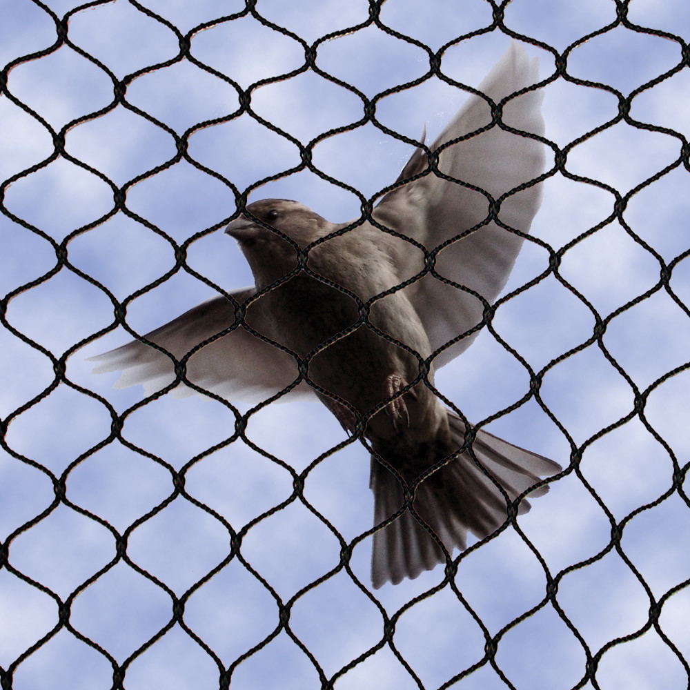 No Knot Bird Netting | Pigeon Netting | Bird B Gone