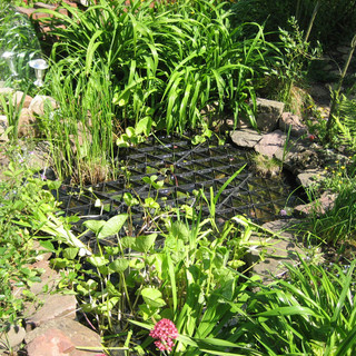 Protect pond fish from predators with Pond Defender