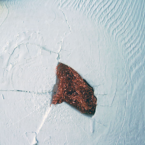 Copper Mesh | Bird Barrier | Bird B Gone