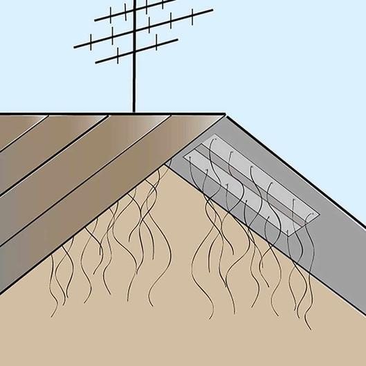 Swallow Shield Swallow and Bat Deterrent | Bird B Gone