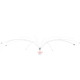 Bird Spider 360 | Scare Birds Away | Keep Birds Away