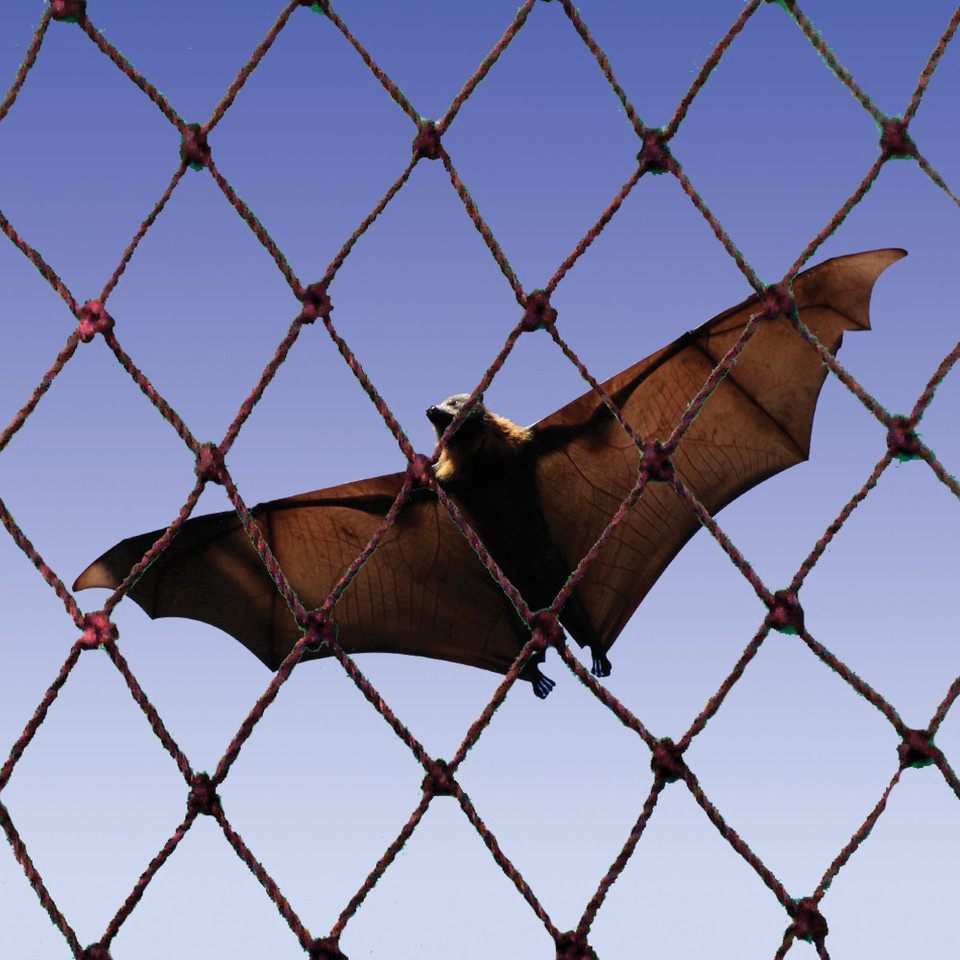 Bat Netting | Bat Nets | Bird Nets | Bird B Gone