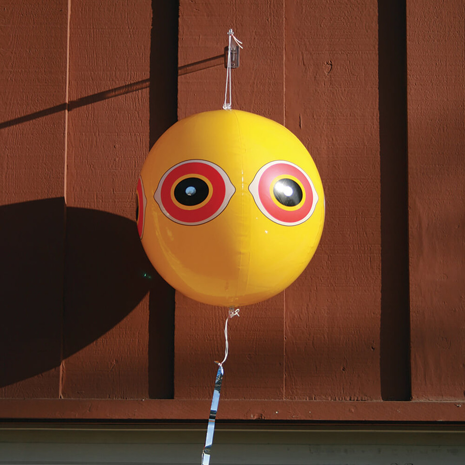 Bird Scare Balloon | Bird Deterrents | Bird B Gone