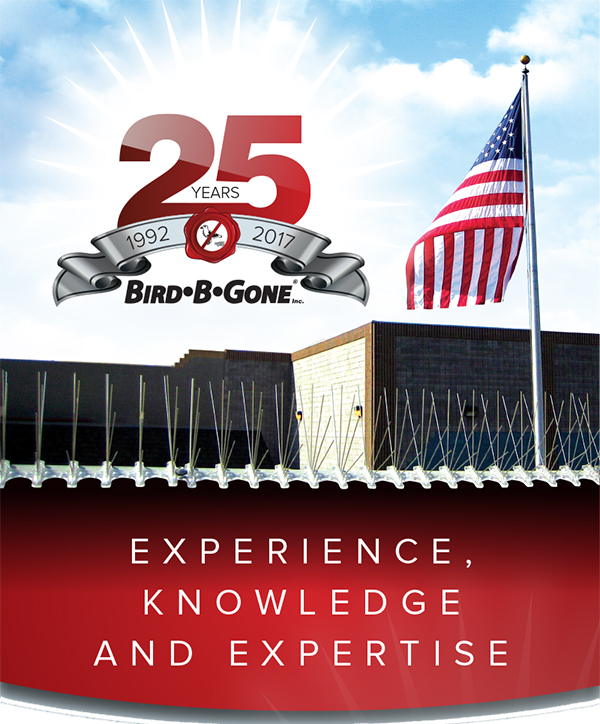 Bird B Gone Celebrates 25-years of Bird Control Service - Bird B Gone LLC